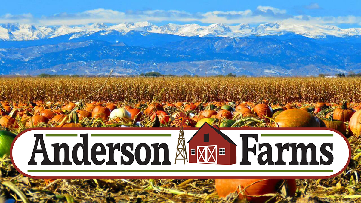 Home - Altitude Sports Radio